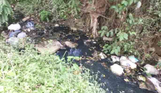 ವಿಷವೇರಿ ಬಣ್ಣ ಬದಲಾಯಿಸುತ್ತಿದ್ದಾಳೆ ಕಾವೇರಿ; ಕಣ್ಮುಚ್ಚಿದೆಯಾ ಆಡಳಿತ ಮಂಡಳಿ ...