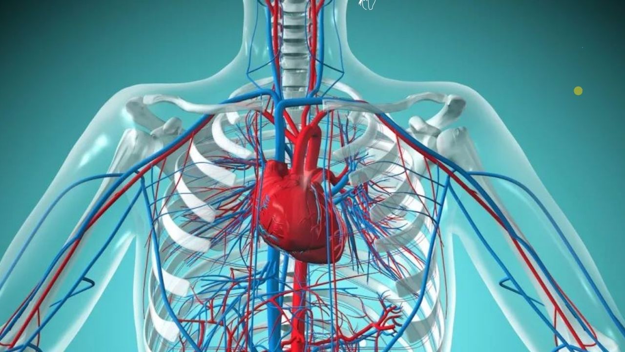 Dextrocardia: ಇದೇನು ‘ವಾಸ್ತು ದೋಷ’ವಾ? ಹೃದಯ ಶಸ್ತ್ರಚಿಕಿತ್ಸೆಗೆಂದು ಎದೆಬಗೆದು ...